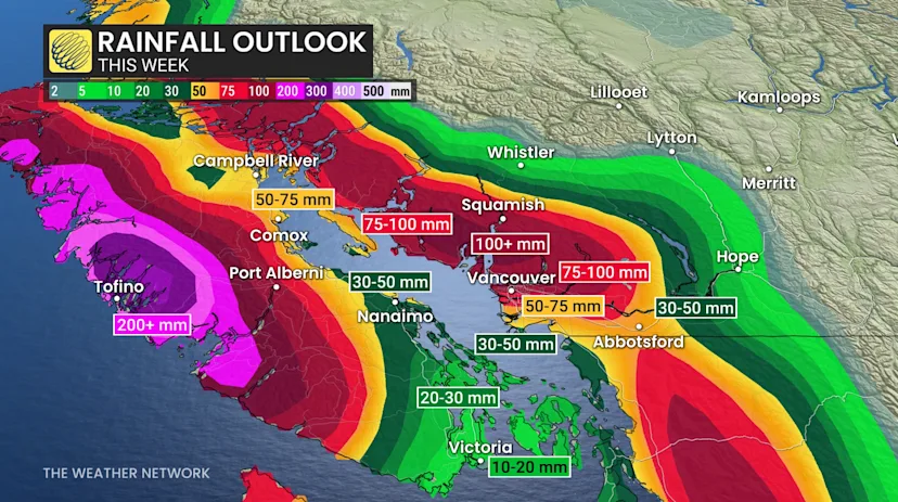 12-14 days without rain: B.C.'s rare winter dry streak comes to an end ...