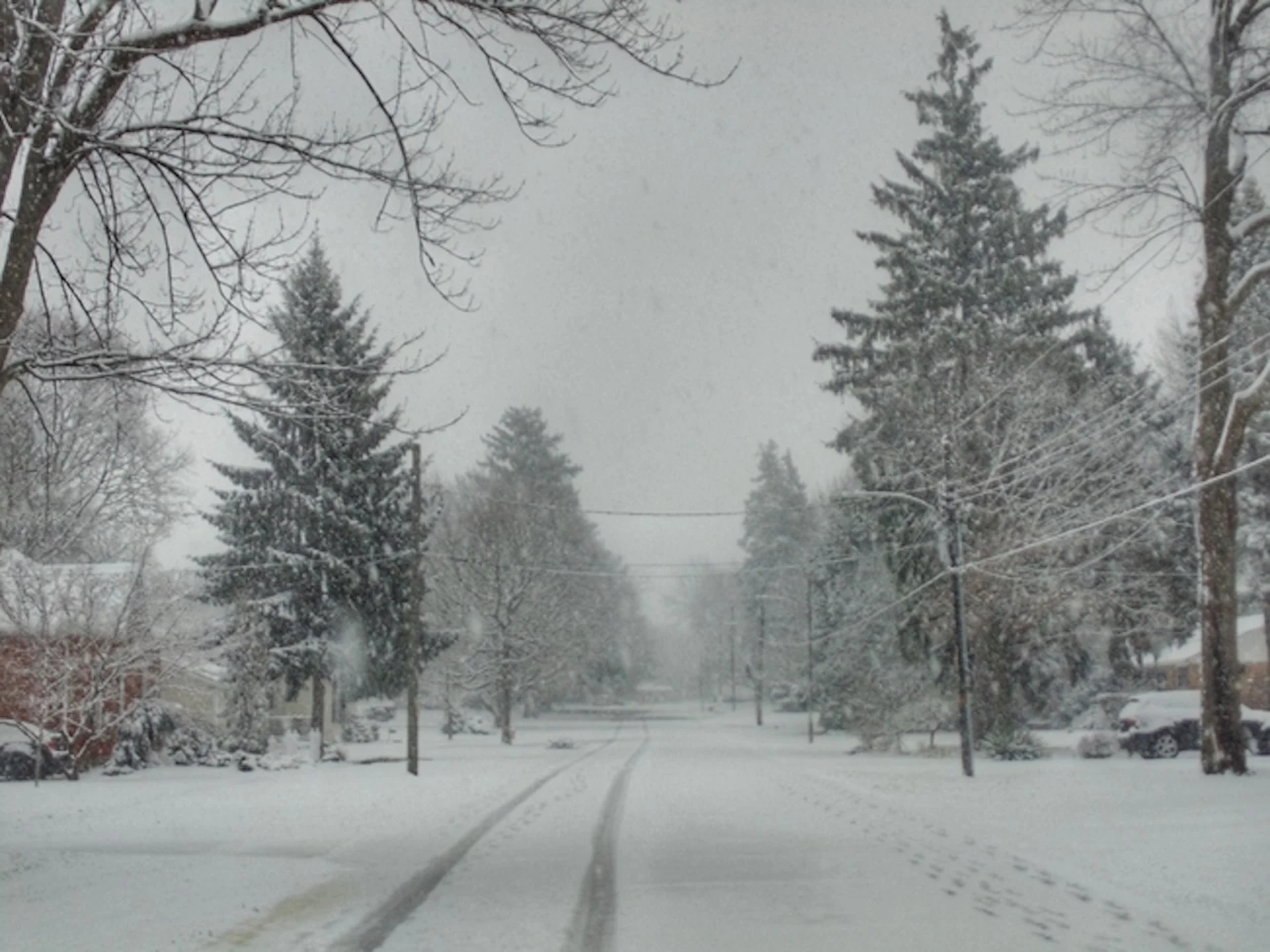 Heartwarming video of man seeing snow for the first time goes viral ...
