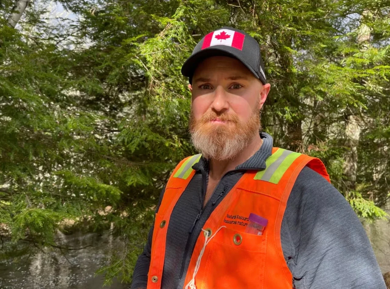 Meet the B.C. beetles on a cross-country mission to save Nova Scotia's ...