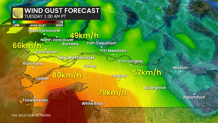 Interruptions in power and travel possible with intense B.C. wind gusts ...