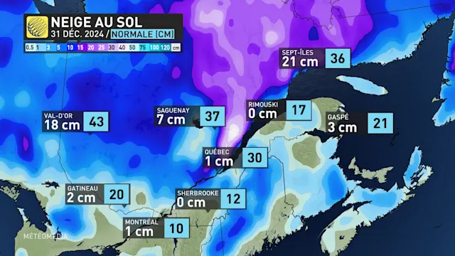 Jusqu'à 30 cm possibles : la neige célèbre la nouvelle année au Québec ...