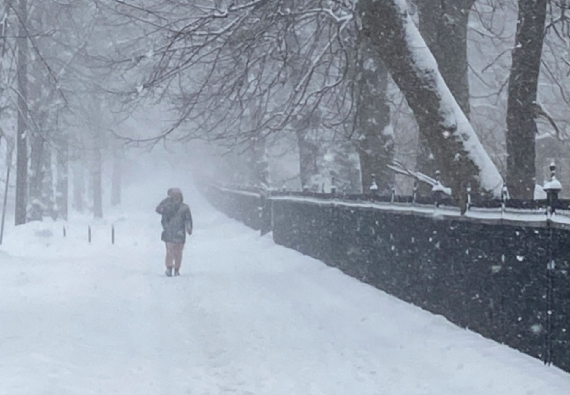 2023 ends with a bang: Atlantic Canada braces for freezing rain, snow ...