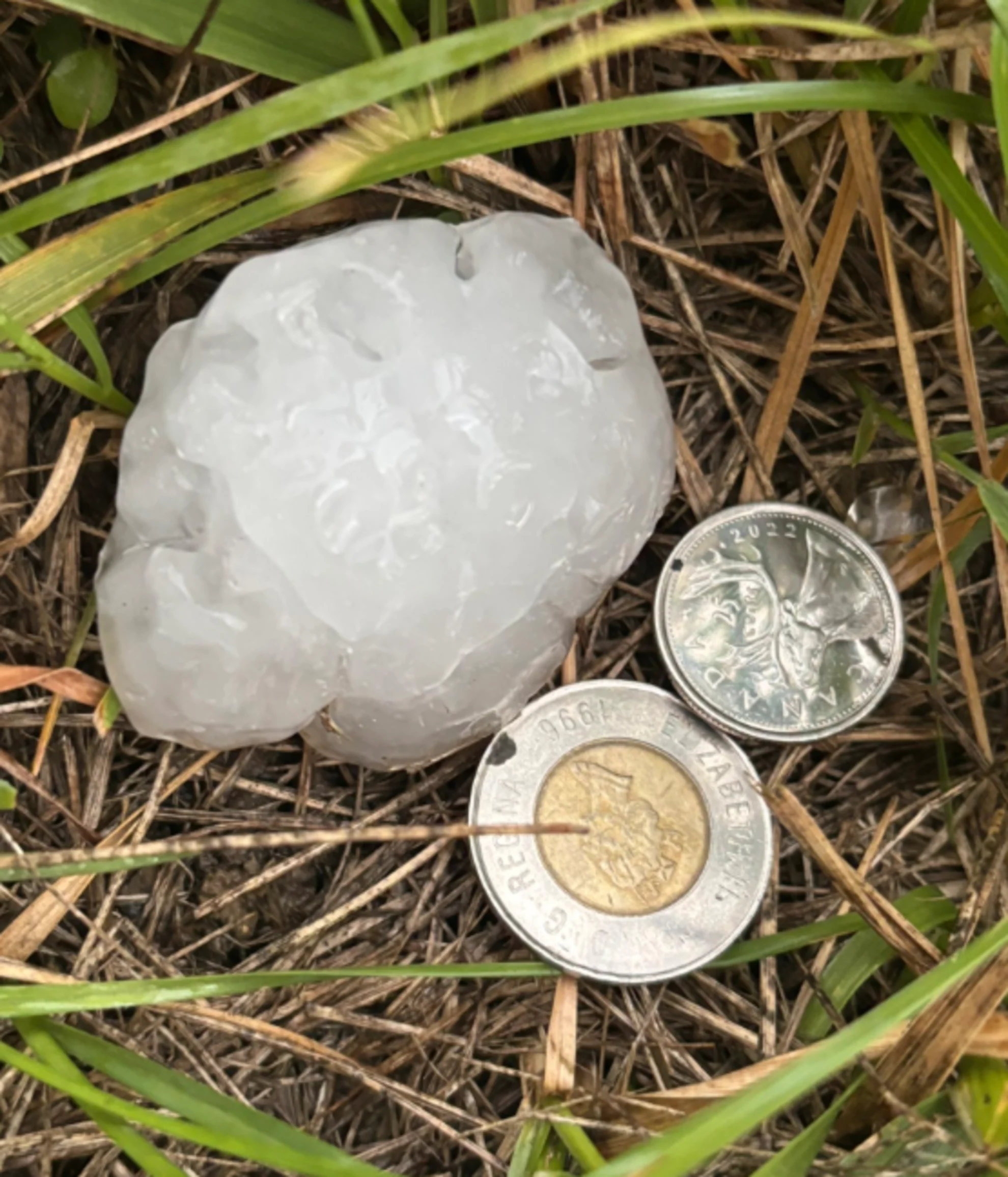 PHOTOS: Large hail and 'serious winds' batter parts of Ontario, Quebec ...