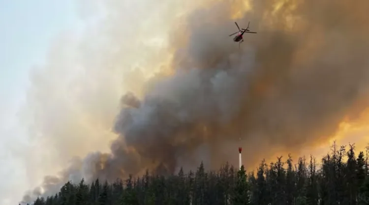 'Aggressive fire behaviour' led to sudden evacuation of Jasper - The ...