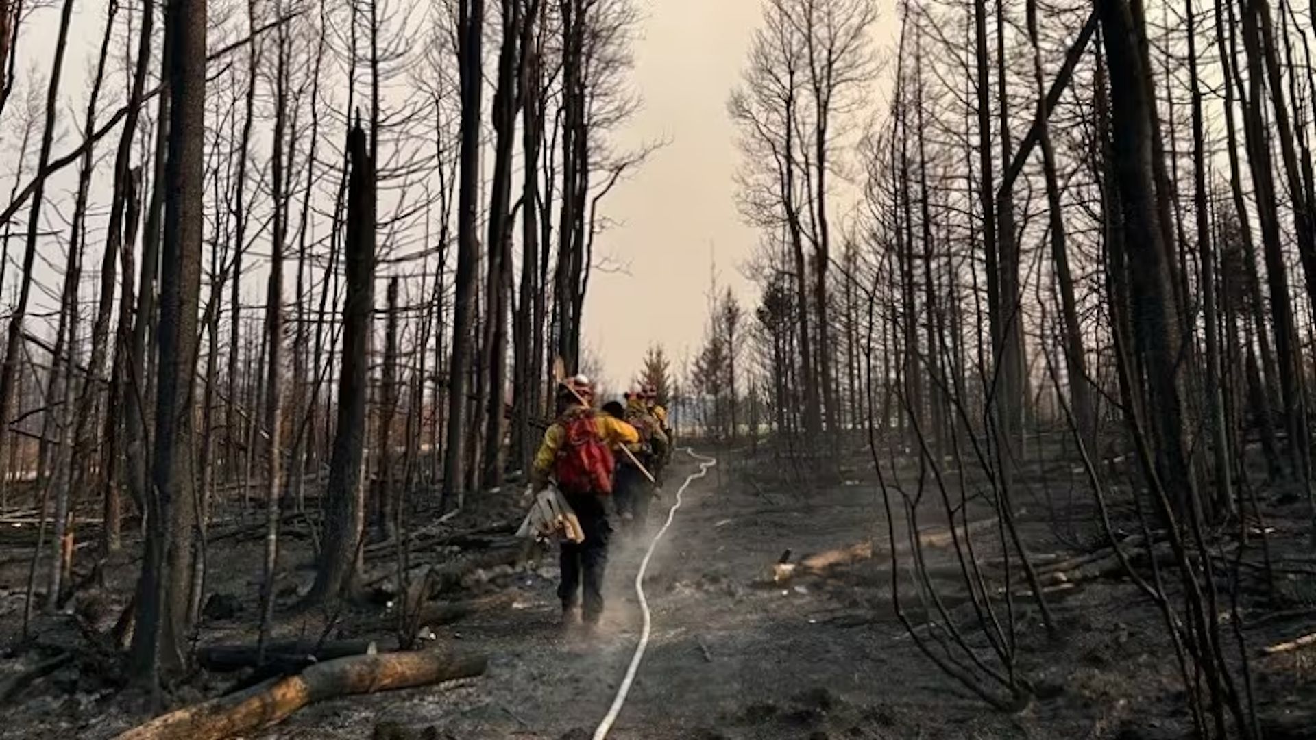 Hundreds ordered to evacuate overnight in northern Alberta as wildfires ...