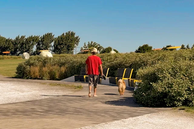 Un dépotoir transformé en parc urbain : l'histoire du parc Frédéric-Back - MétéoMédia