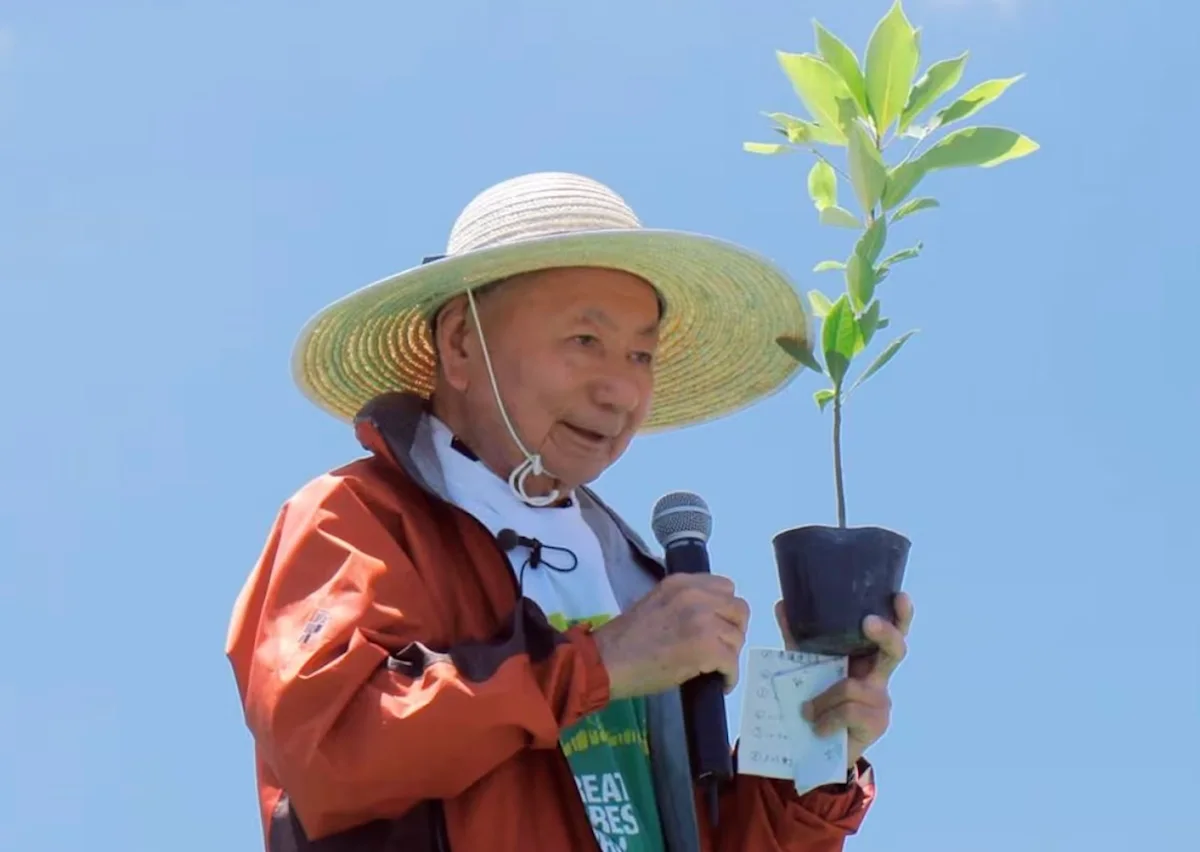 Mighty benefits of 'tiny forests' and why they are popping up in Canada ...