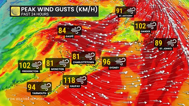High winds sever power for tens of thousands in Nova Scotia - The ...