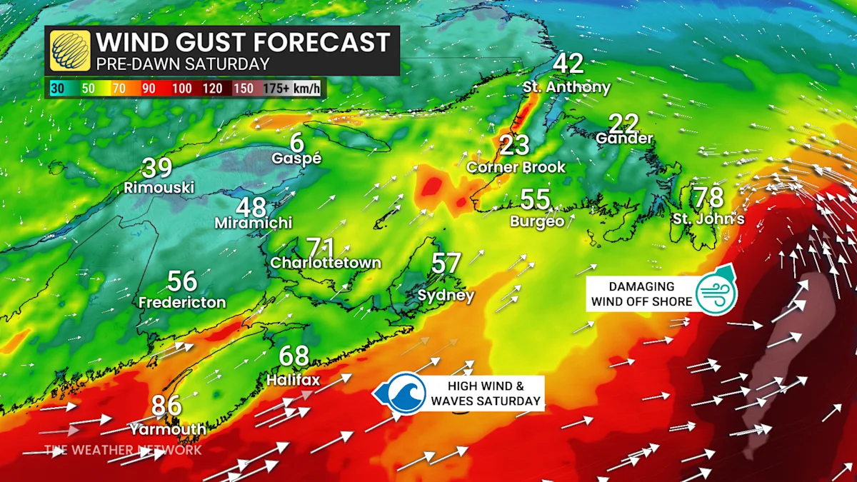 Melissa to pass Avalon Peninsula with heavy surf and powerful winds ...
