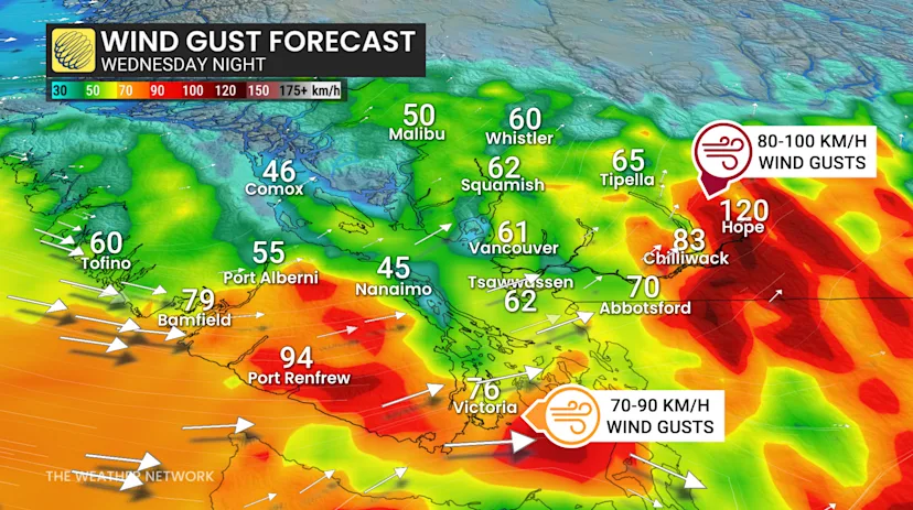 Warnings issued across B.C. for high winds, alpine snow - The Weather ...