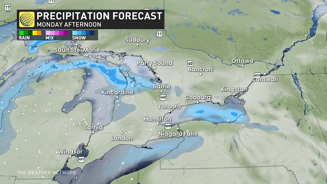 Snow squall warnings line southern Ontario amid deep Arctic chill - The ...