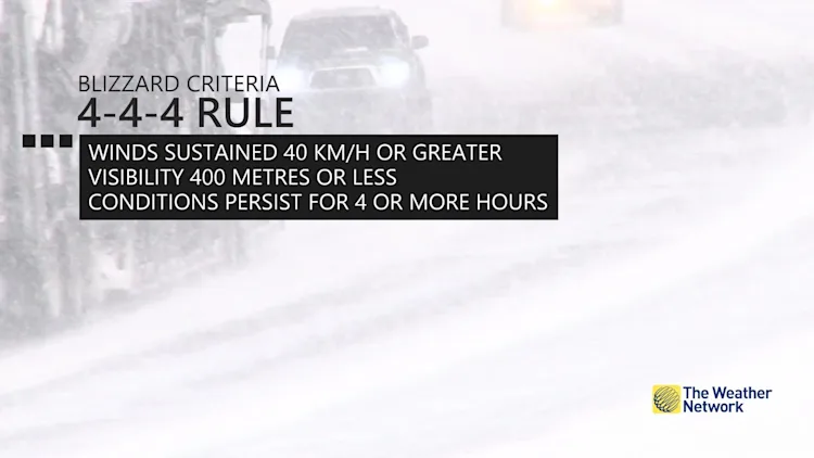 Blizzard warnings issued as 30-50+ cm of snow targets parts of Ontario ...