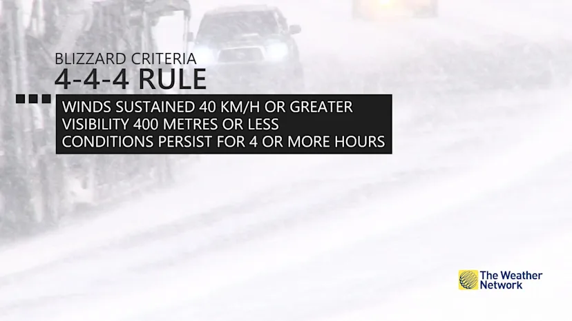 Blizzard warnings issued as 30-50+ cm of snow targets parts of Ontario ...