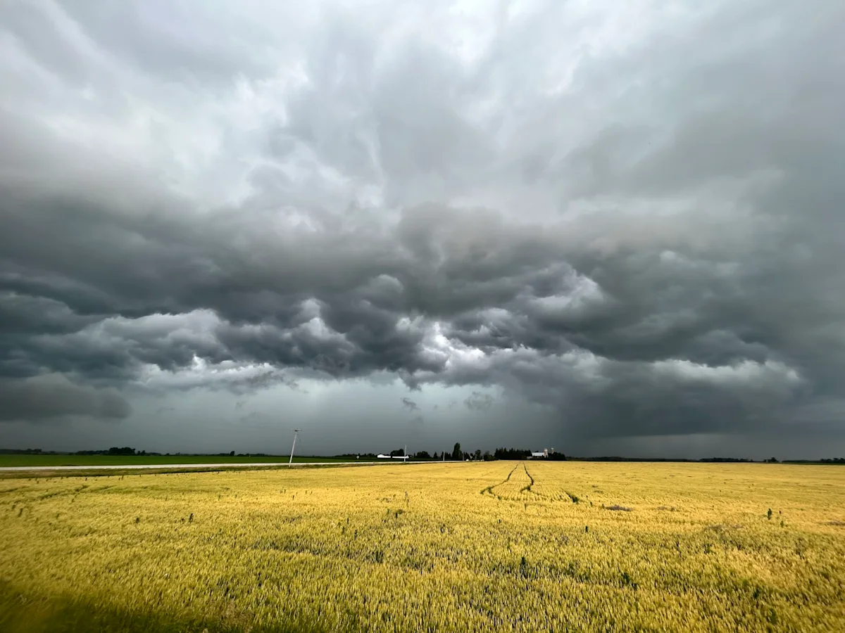 Tornado confirmed in Hamilton – first in 18 years - The Weather Network