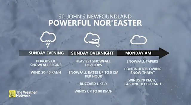Blizzard conditions across Newfoundland as Nor'easter dumps up to 40 cm ...