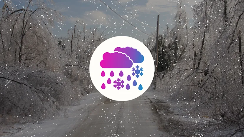 Snow and ice are heavy hazards that can damage trees, roofs - The ...
