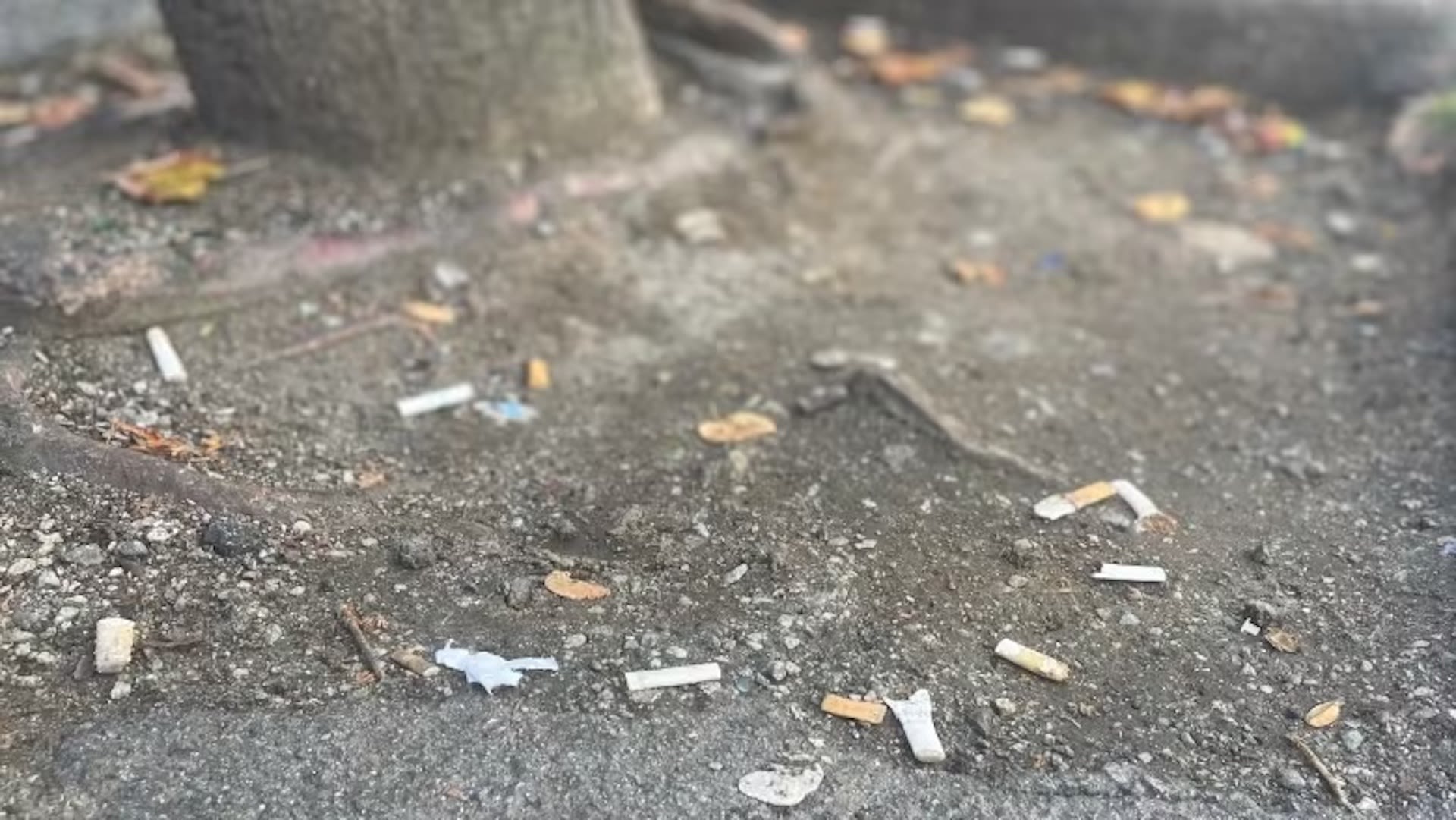 Cigarette butts still Vancouver's most littered item, seemingly ...