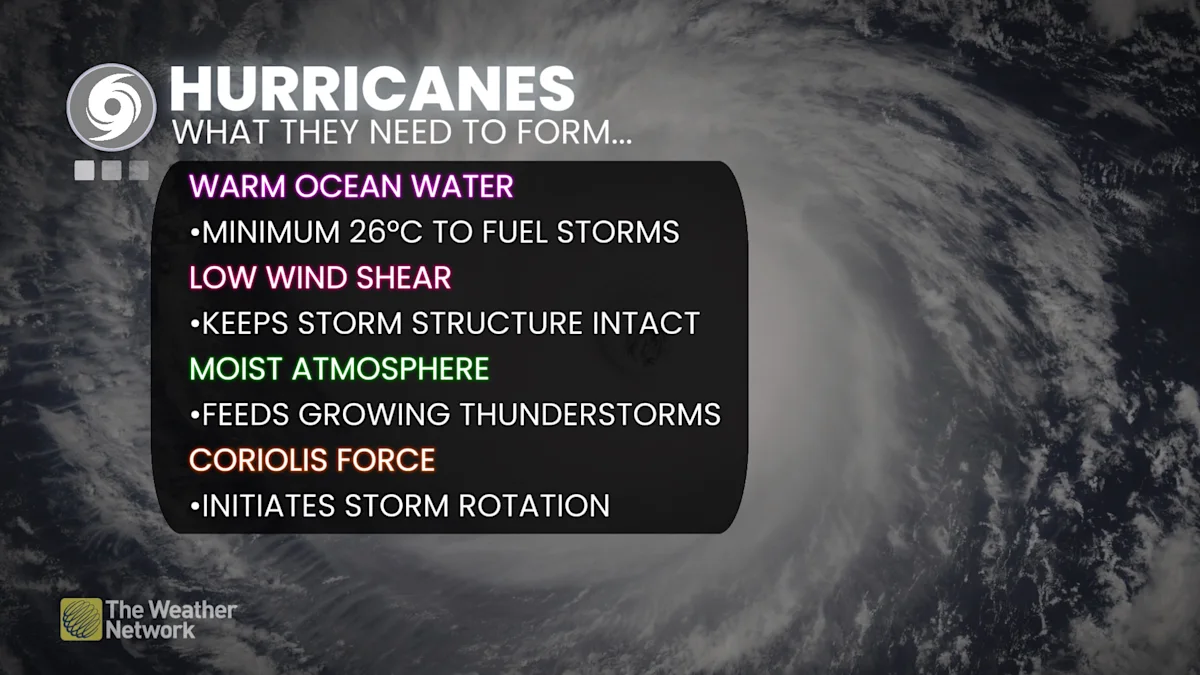 One hurricane ever? Why the South Atlantic is a dead zone for ...