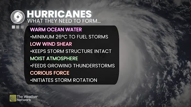 Similar storms are slightly windier, wetter than past events: Study ...