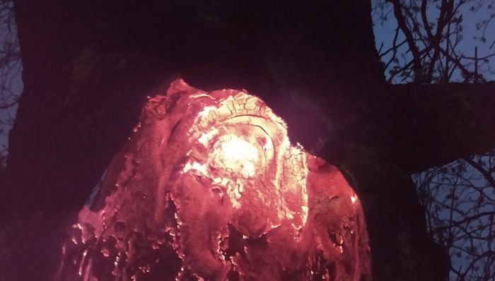 Lightning strike makes tree look like it's spewing lava - The Weather ...