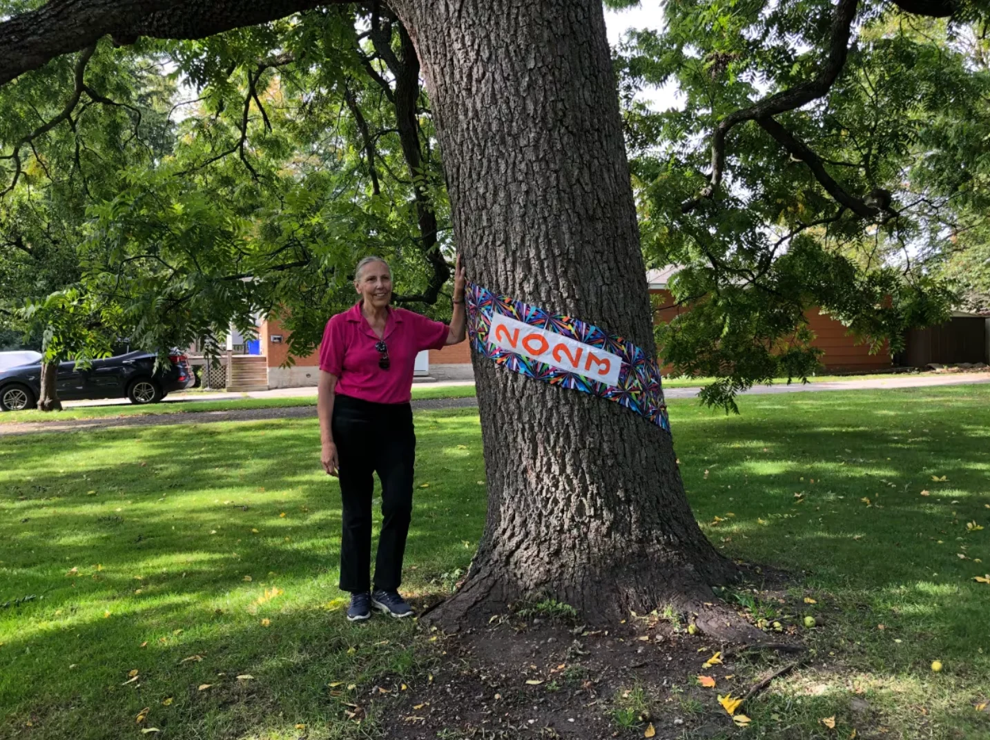 Know a good-looking tree? Nominate it for the 2024 Ontario tree pageant ...