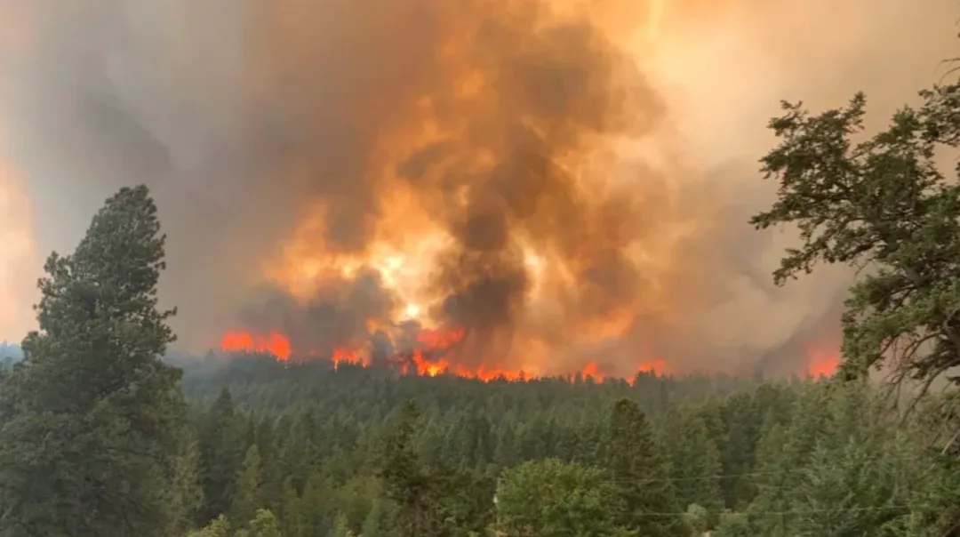 Wildfire terms every Canadian should be familiar with - The Weather Network