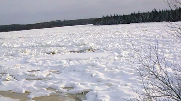 Badger evacuation order expanded as Exploits River continues to rise ...