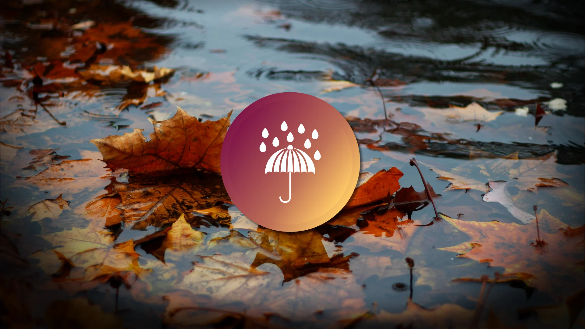 Multiple rounds of beneficial rains on the way to Atlantic Canada - The ...