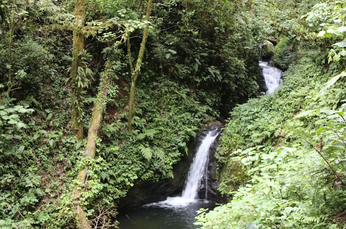Dazzling biodiversity of Costa Rica: From colourful rainforest to sandy ...