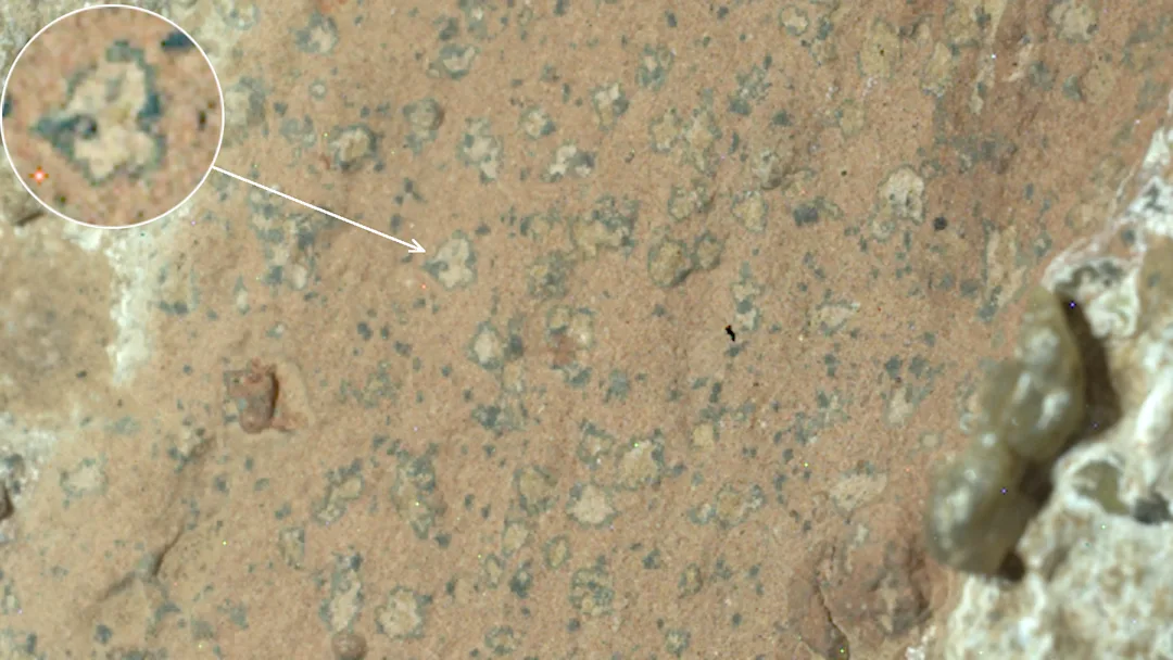 'Leopard-spotted' rock may be a sign of ancient life on Mars - The ...