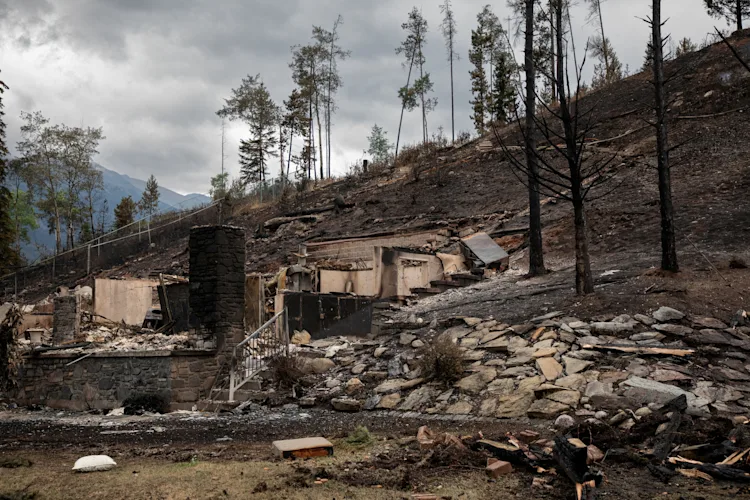 Jasper rising from the ashes: A journey of recovery one year later ...
