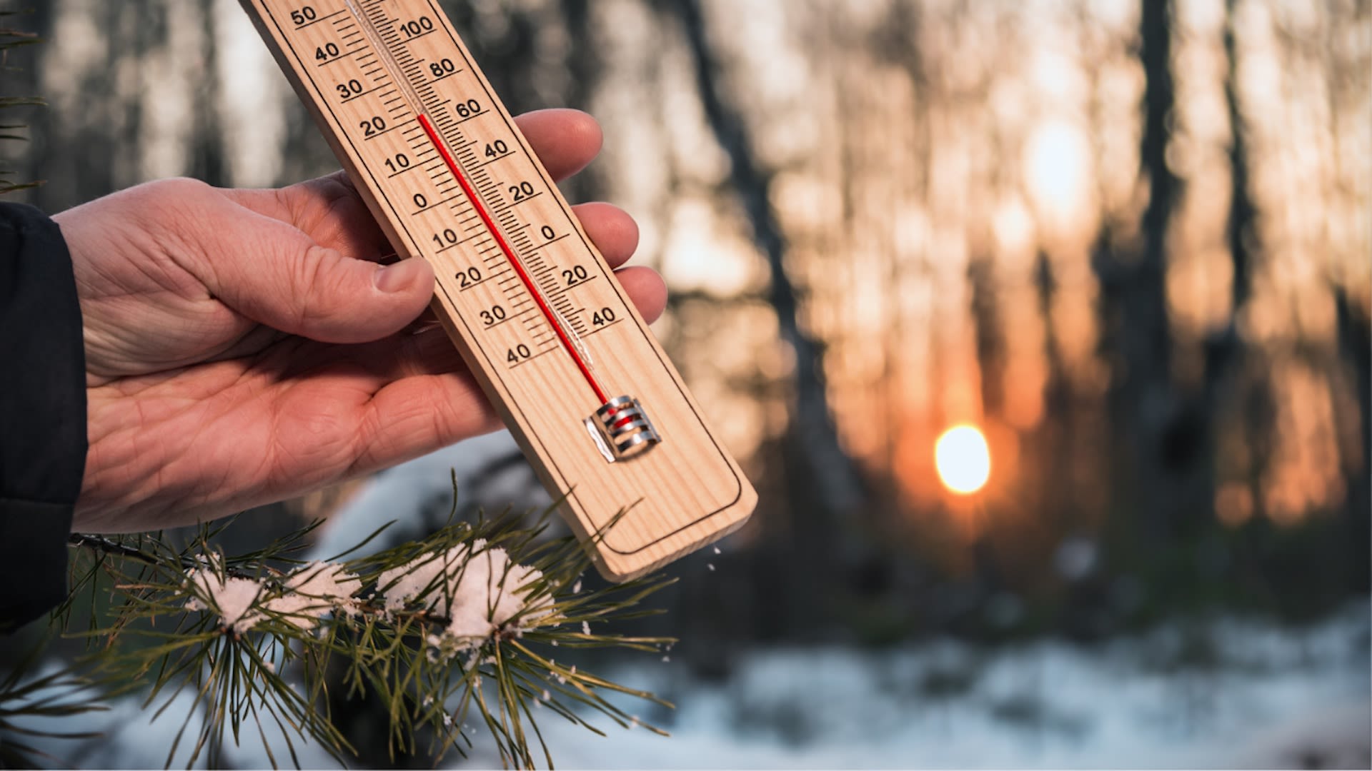 Ontario notched one of its warmest-ever February days on Friday - The ...