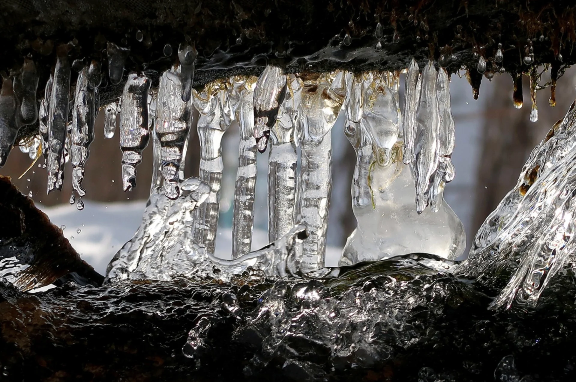 Spring ice storm underway in Ontario with major power, travel impacts ...