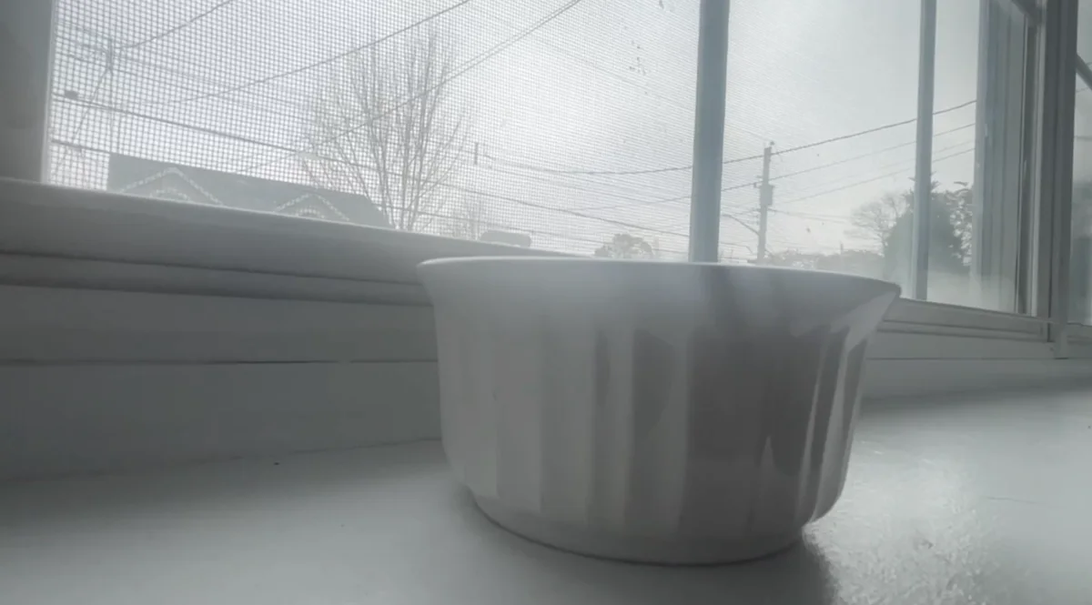 Adding salt to your window sill may help combat this common seasonal ...