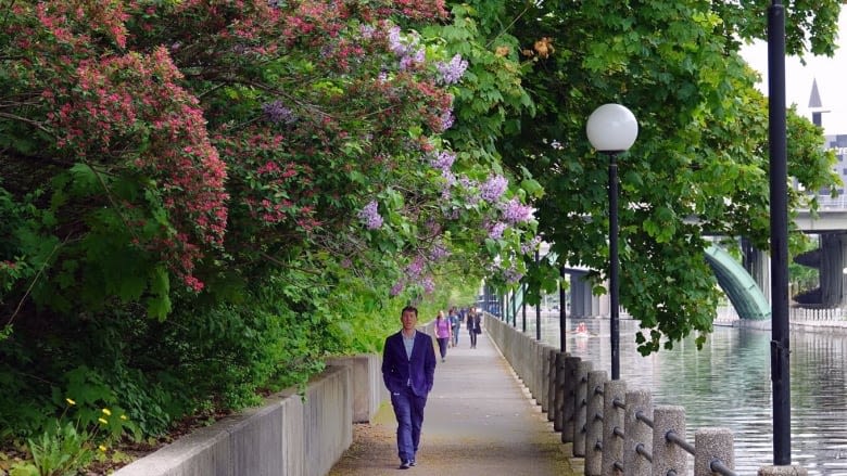 Ottawa's population blooms to one million people - The Weather Network