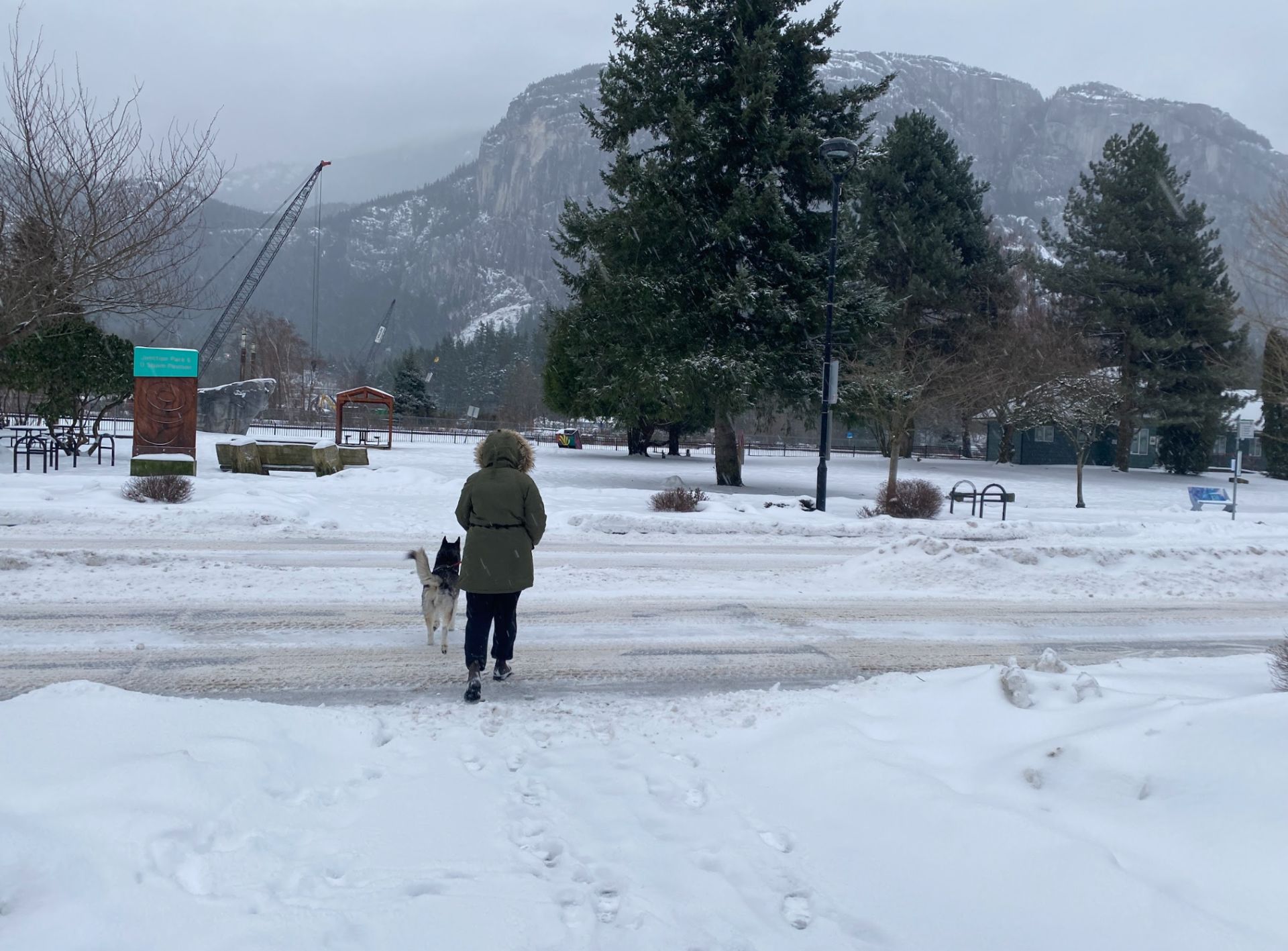 January deep freeze cost $180M in insured damages across Western Canada ...