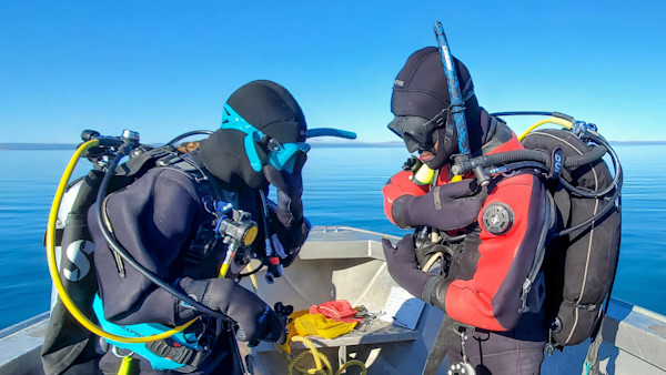Researchers dive for kelp in the Arctic - The Weather Network