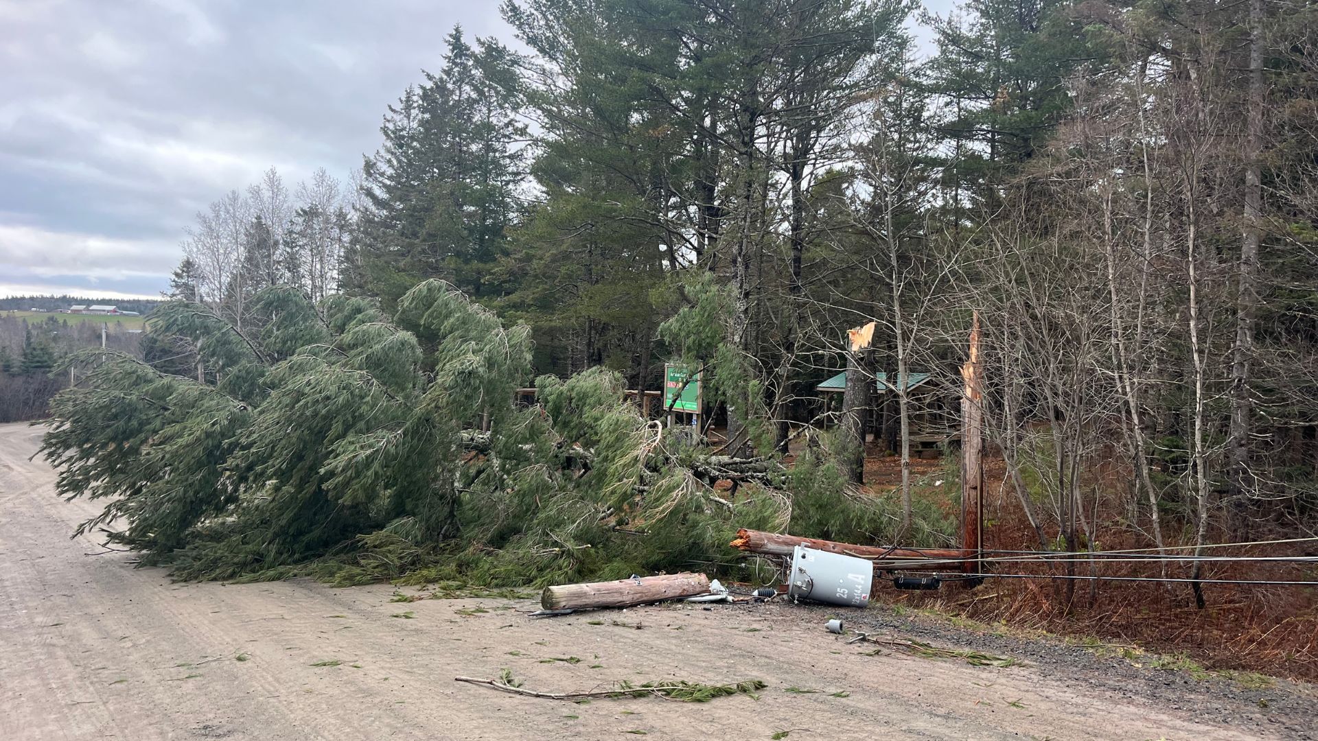 High winds sever power for tens of thousands in Nova Scotia - The ...