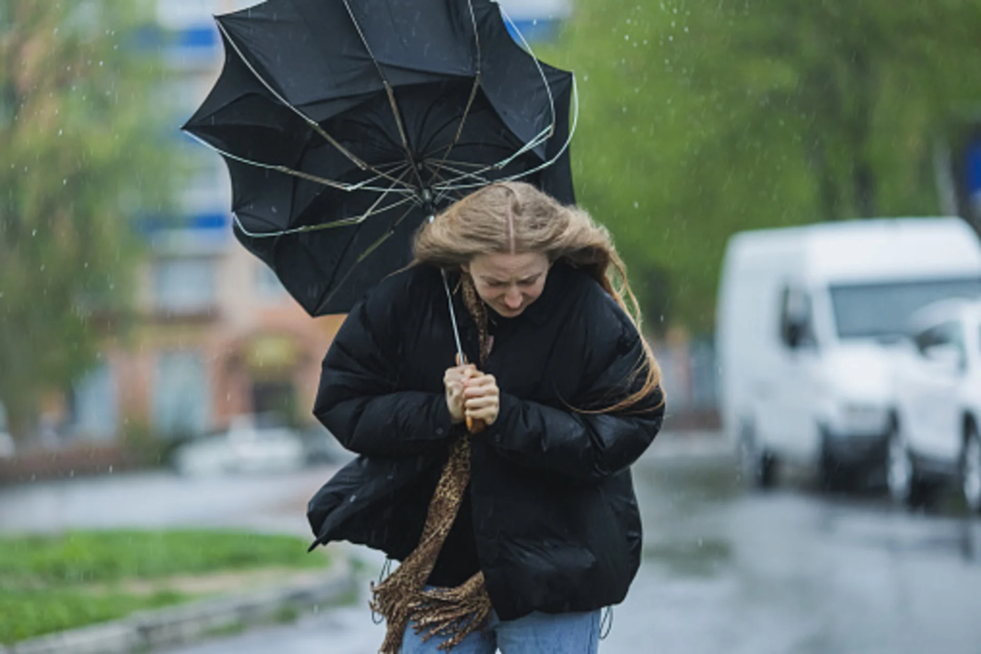 Strongest winds of the year officially hit St. John's, Newfoundland ...