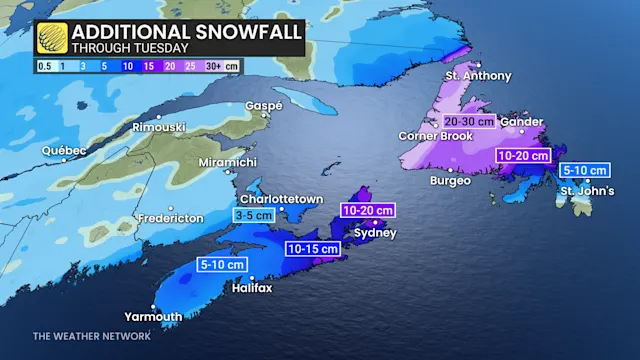 Delays, closures across P.E.I. amid snowfall warning - The Weather Network