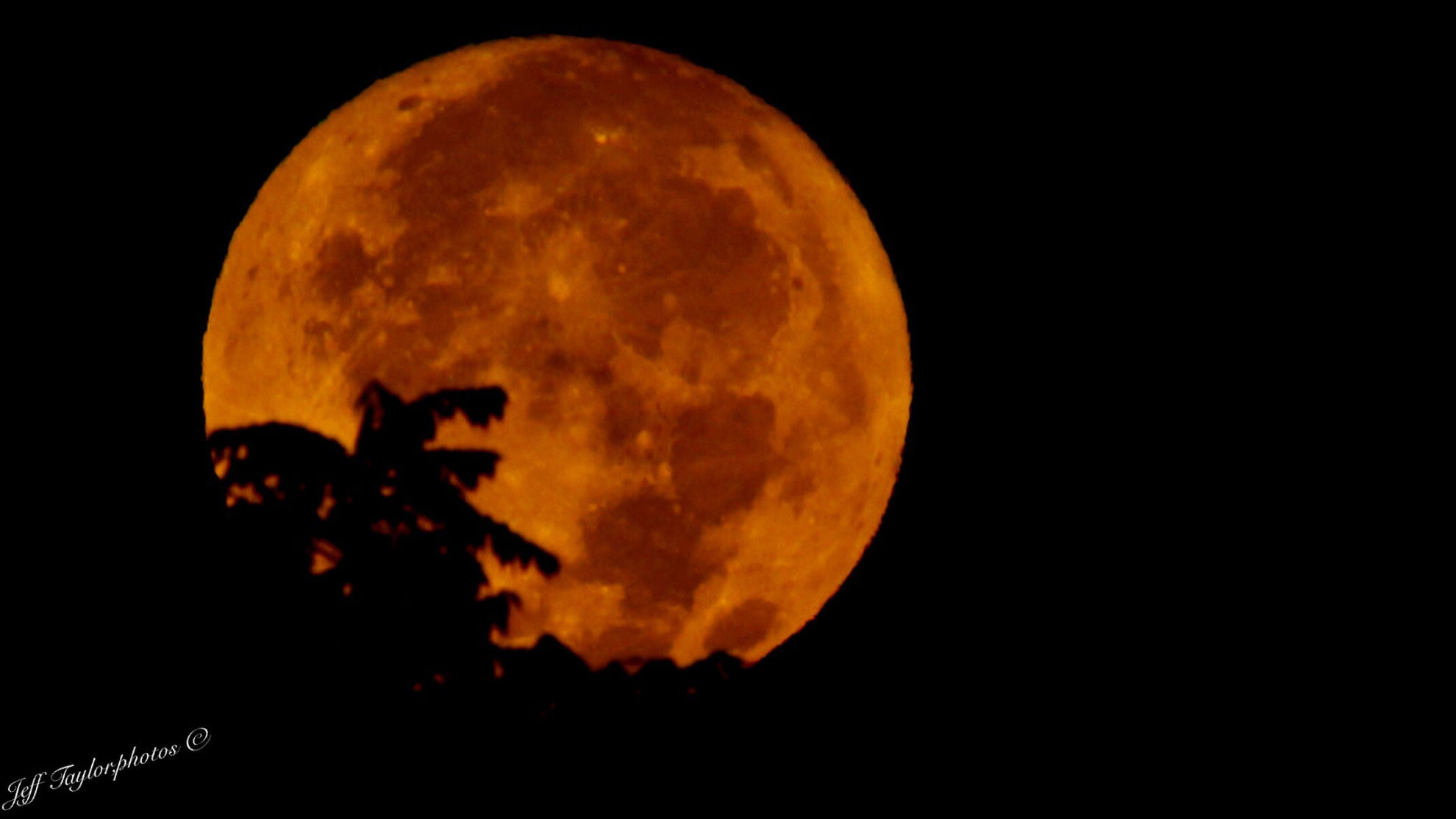 Look up! Extremely rare Harvest Moon rises Friday night - The Weather ...