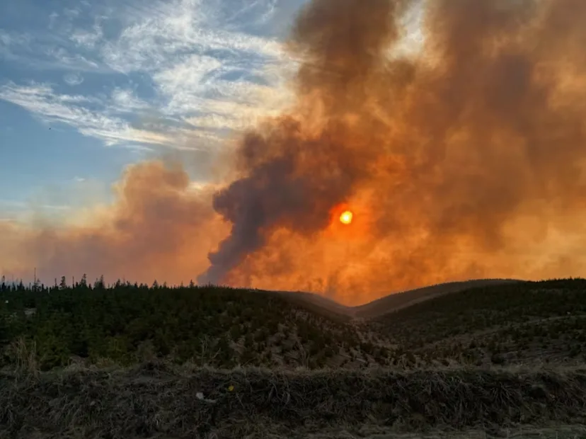 Northern Alberta community begins welcoming wildfire evacuees - The ...