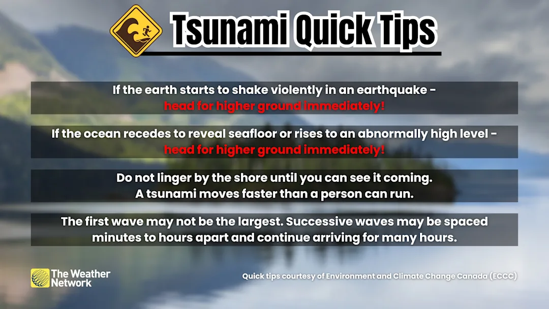 Tsunami safety tips: What to do if these dangerous waves threaten - The ...
