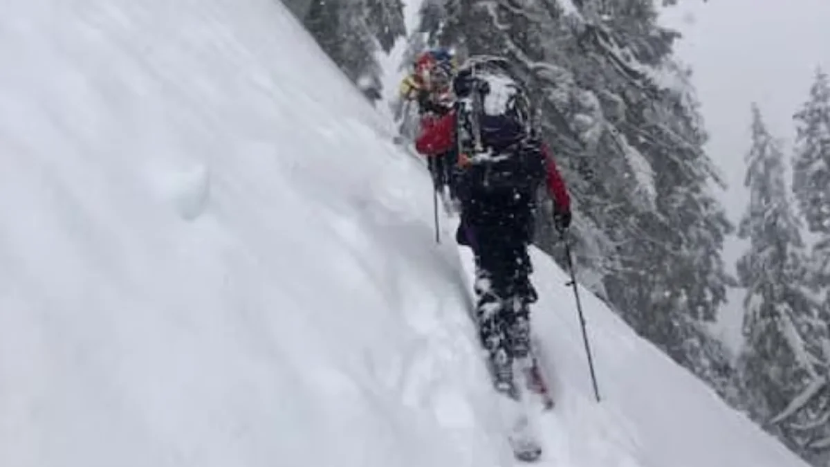 Do not underestimate the hidden dangers of tree wells on the slopes ...