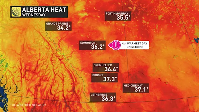 Alberta issues fire ban for entire forest protection area with hot ...