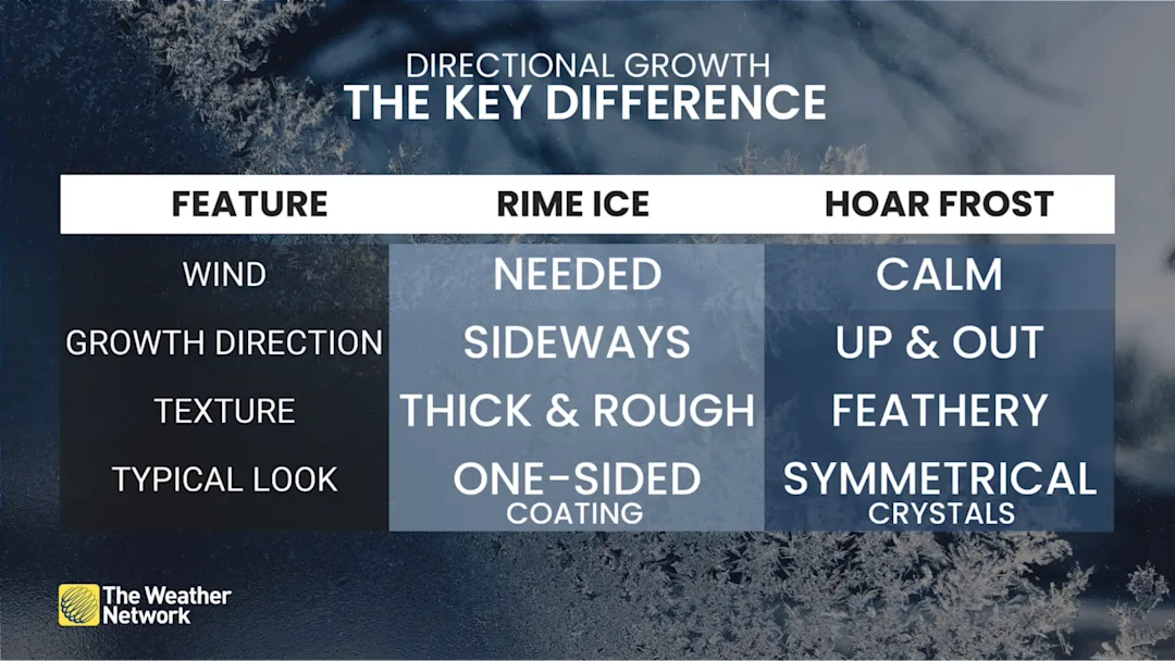 Warm winds finally end Alberta’s epic rime ice event - The Weather Network