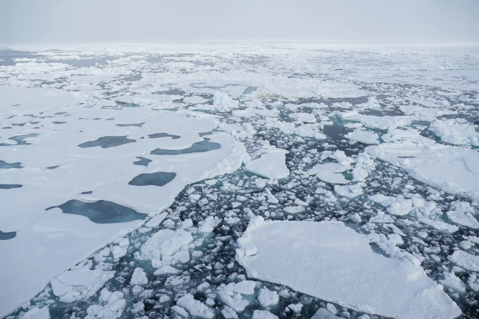 'Remarkable' trend happening in the Arctic, despite warming, since 2012 ...