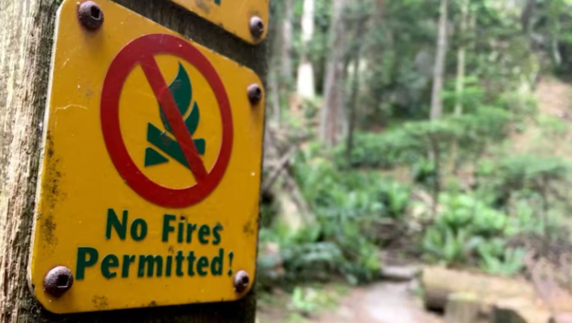 Campfire ban comes into effect in B.C. amid heightened fire risk - The ...