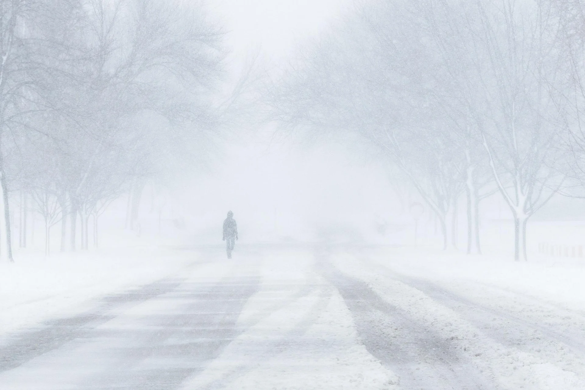 Le blizzard : quand on ne voit ni ciel ni terre - MétéoMédia
