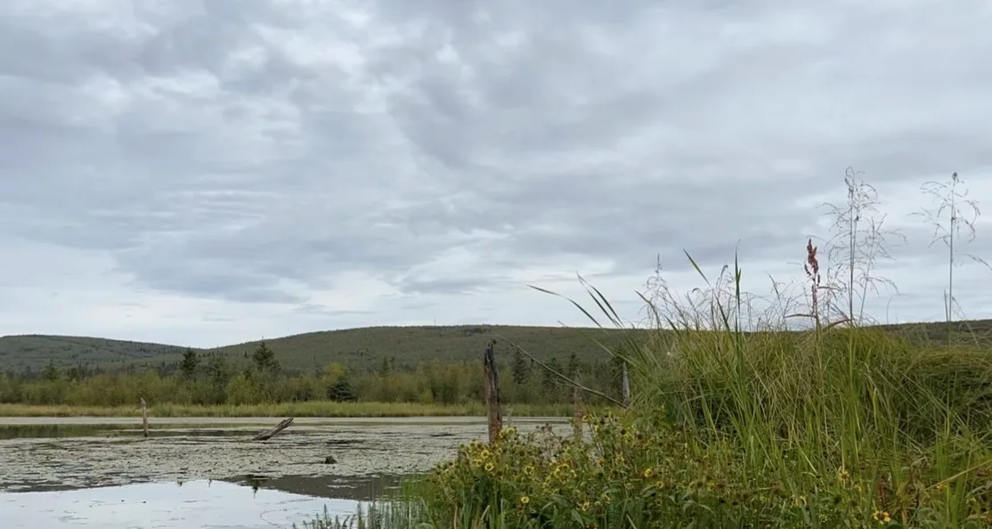 Methane "belching" lakes discovered in Alaska as permafrost thaws - The ...